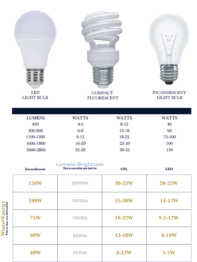 Light Bulb Comparison Guide